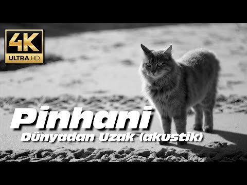 Pinhani - Dünyadan Uzak (akustik 4K)