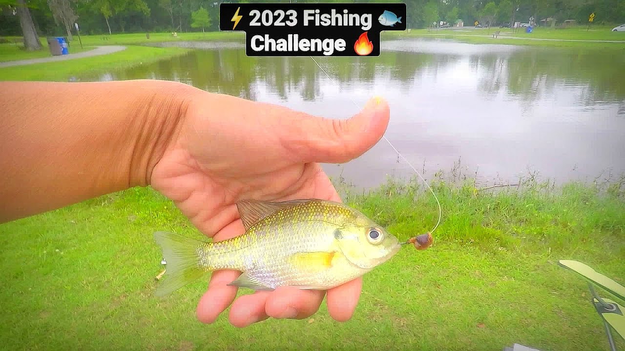 💥(Day 97) Catch 1 fish 🐟 EVERYDAY 💛💜 [Fishing Challenge] #fishing # ...