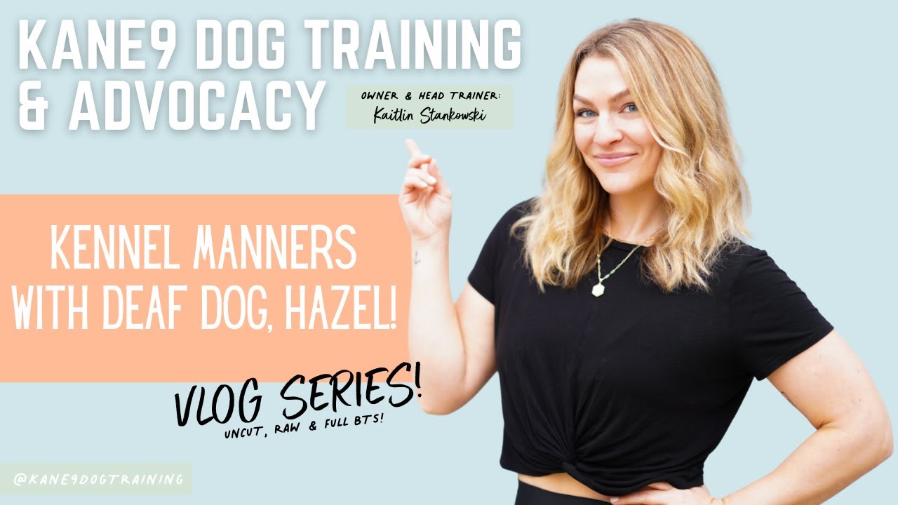 Kennel Manners With Deaf Dog Hazel! | VLOG SERIES | KANE9 - YouTube