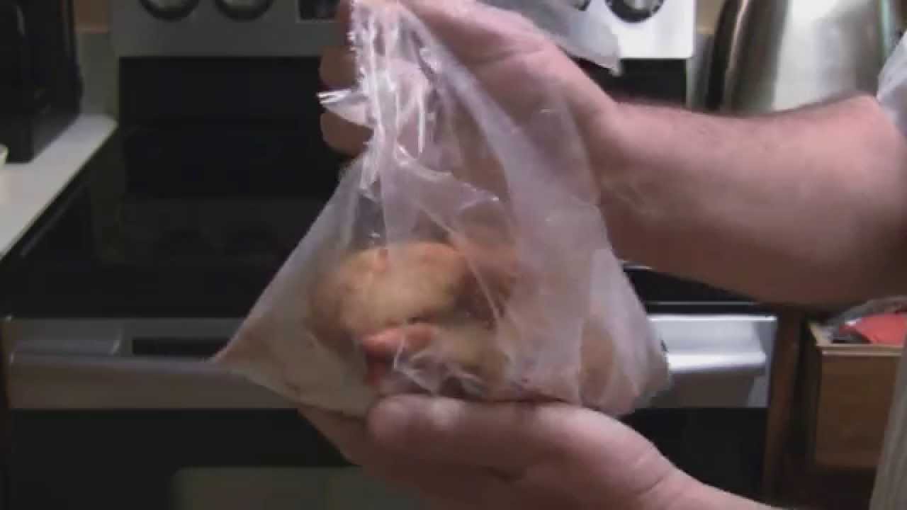 FDA and Seafood Labeling Part 1 - YouTube