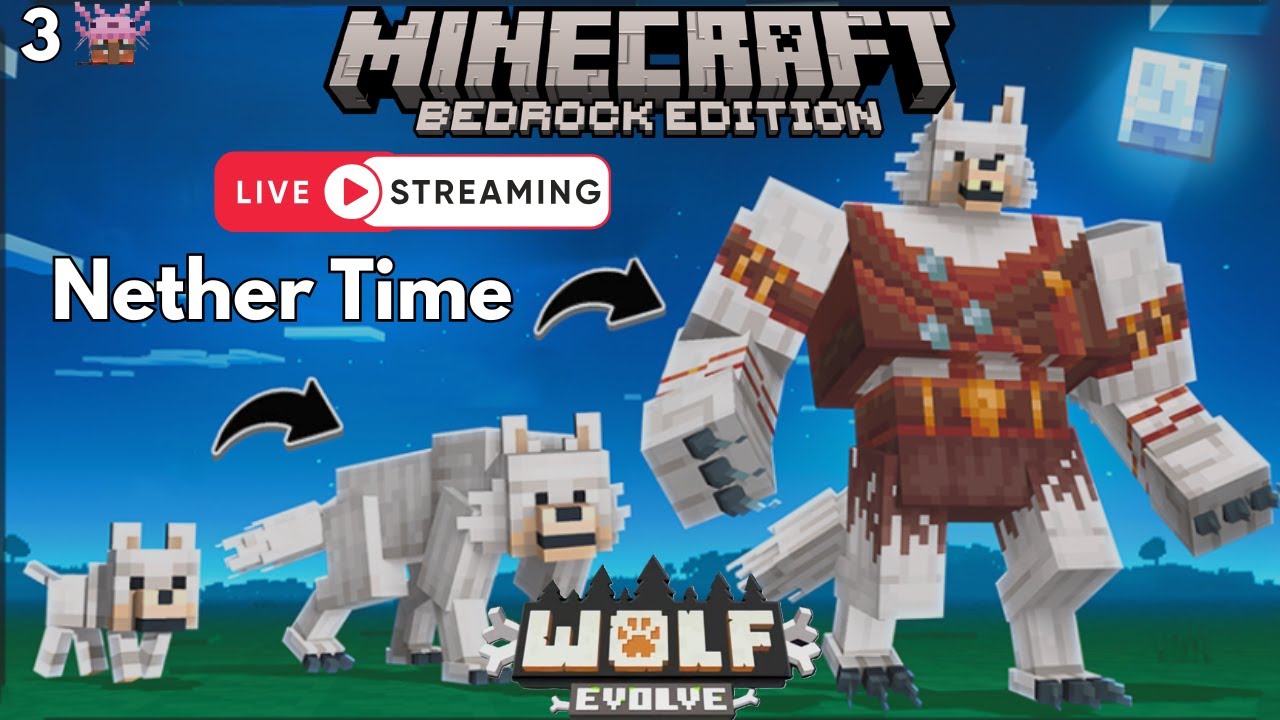 🔴 Into the Nether in Minecraft! – Wolf Evolve Livestream #3 - YouTube