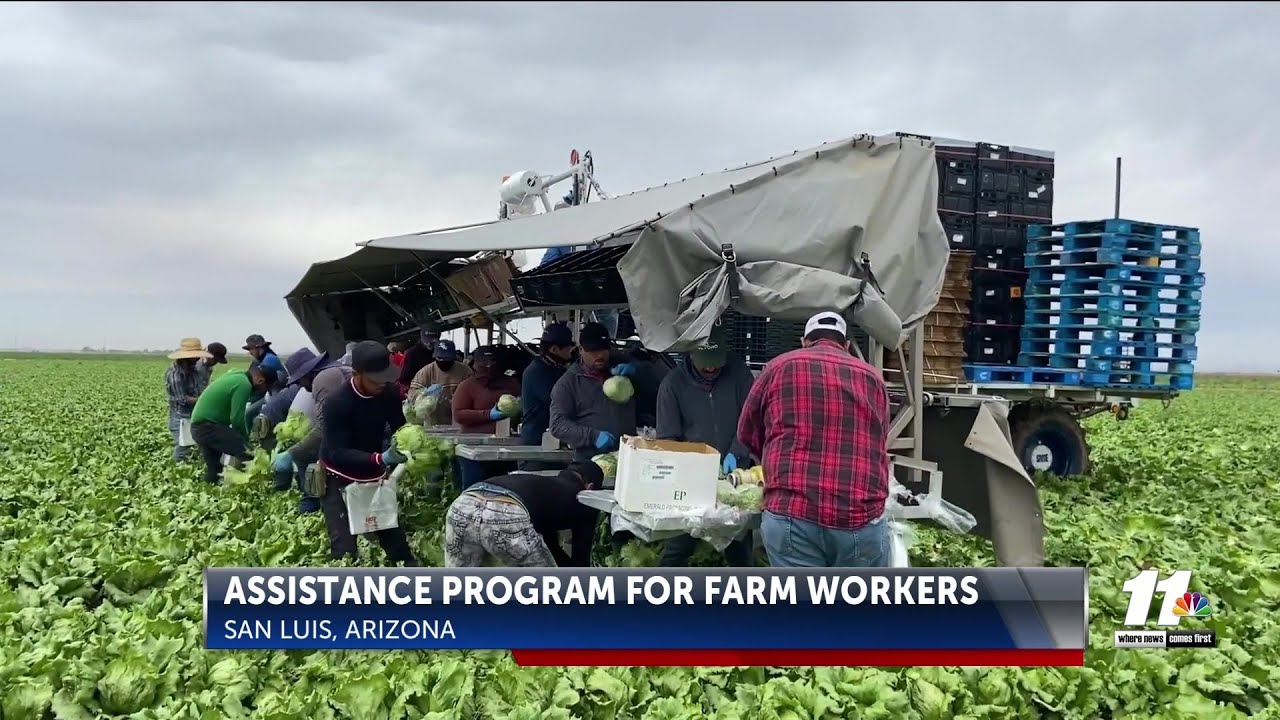 Assistance program for local farm workers - YouTube