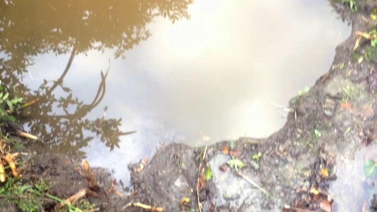 Hand Dug Pond - How did it respond to big rain? - YouTube