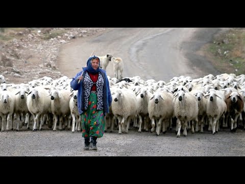 Kürtçe Şarkı Hey Le Le Le Rojda Kurdish Trap Remix Servet Tunç
