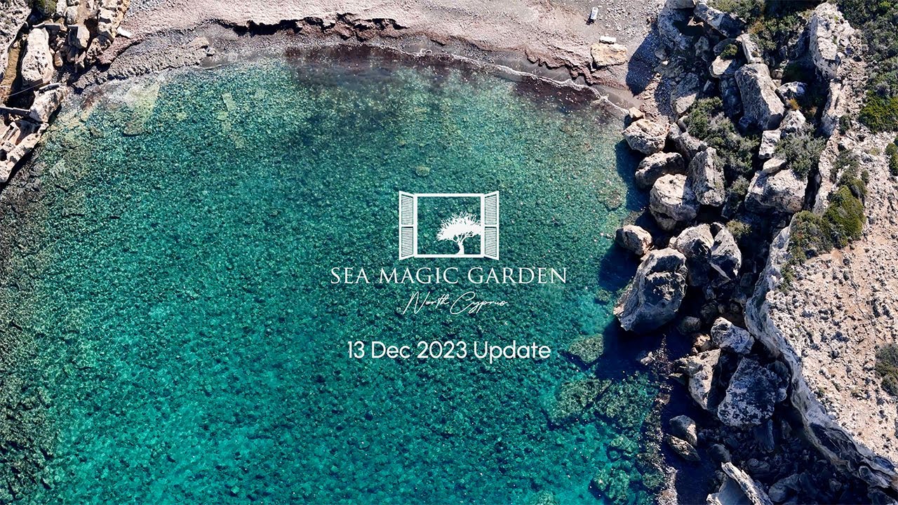 Sea Magic Garden December 2023 update 🌊🏡 - YouTube