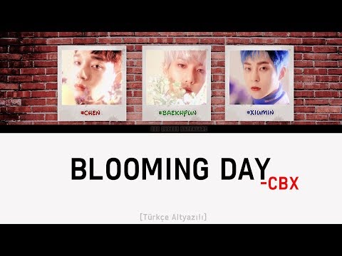 CBX - Blooming Day (Türkçe Altyazılı) [HAN/ROM/TR]