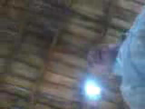 Xeqani Berdeli watirli