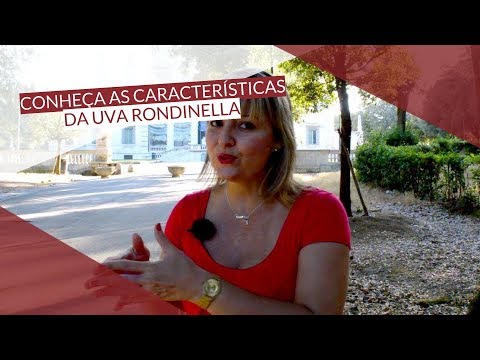 Uva Rondinella - insidethewine334de 365 - YouTube