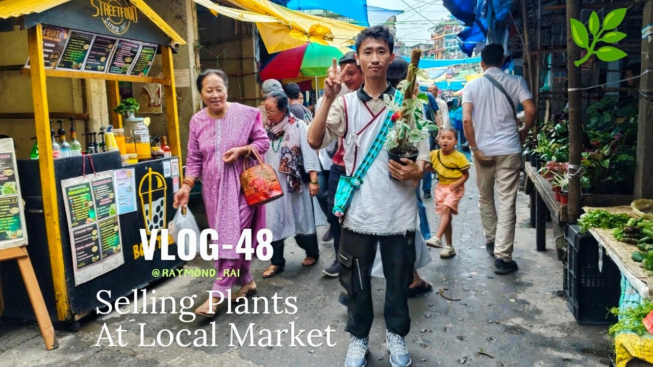 Kalimpong's Famous Flower & Plant Market || Plants Selling Vlog -48🌿 ...
