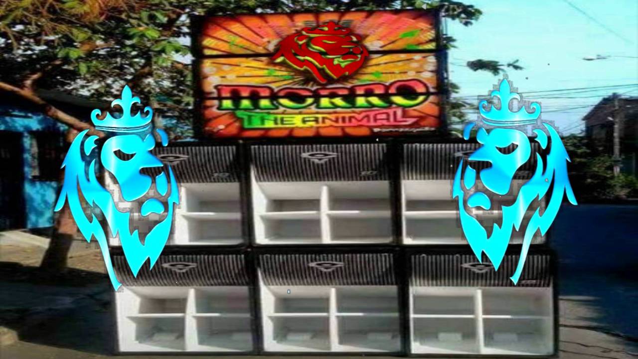 SELENA REMIX PROFESIONAL ESTILO MORRO THE ANIMAL - YouTube