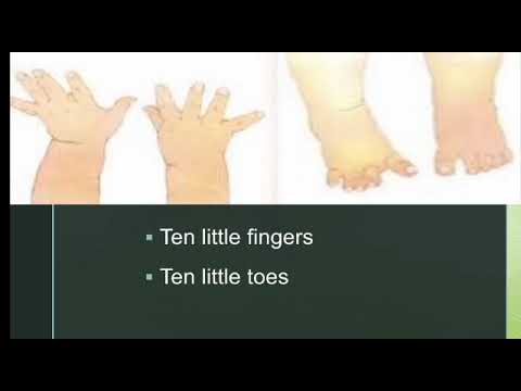 ten fingers ten little toes poem - YouTube