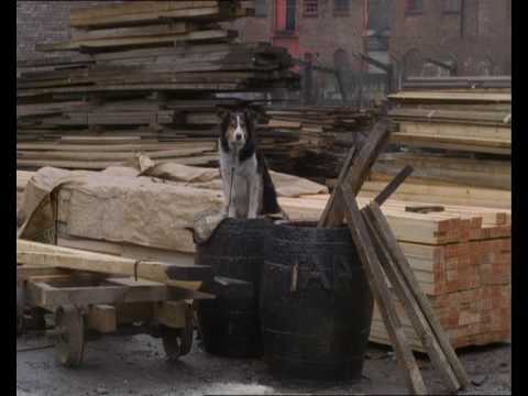 A Tribute To Sherlock's Dogs ! : Toby and Jasper ! - YouTube