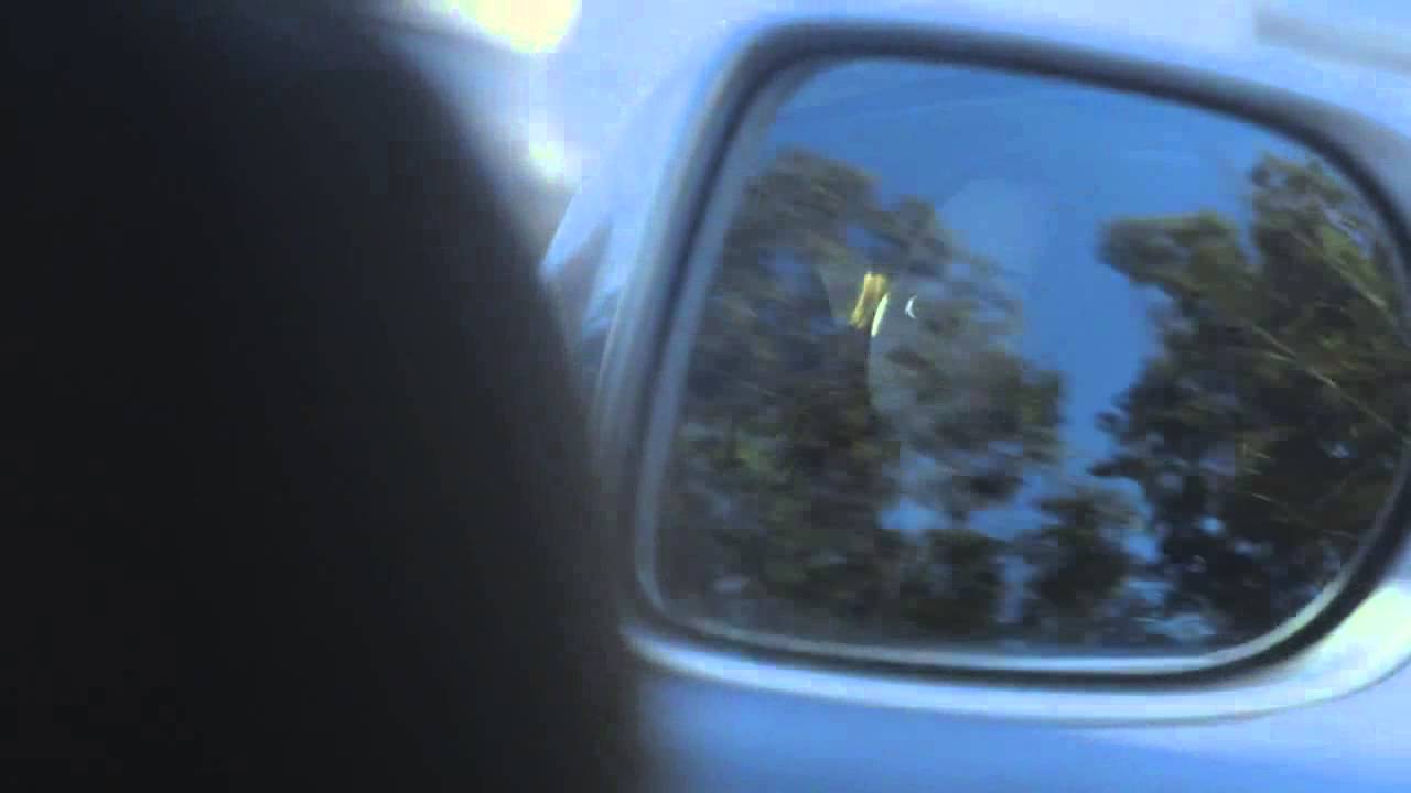 The two dogs - Trailer - YouTube