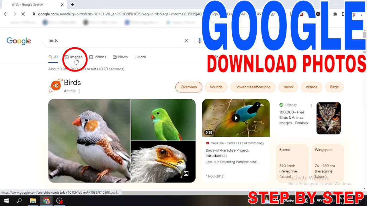 How To Download Photos From Google On PC 🔴 - YouTube