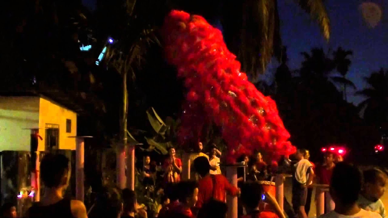 Kelab Tarian Singa Nosoob Baru Sabah, Malaysia Lion dance 2014 - YouTube