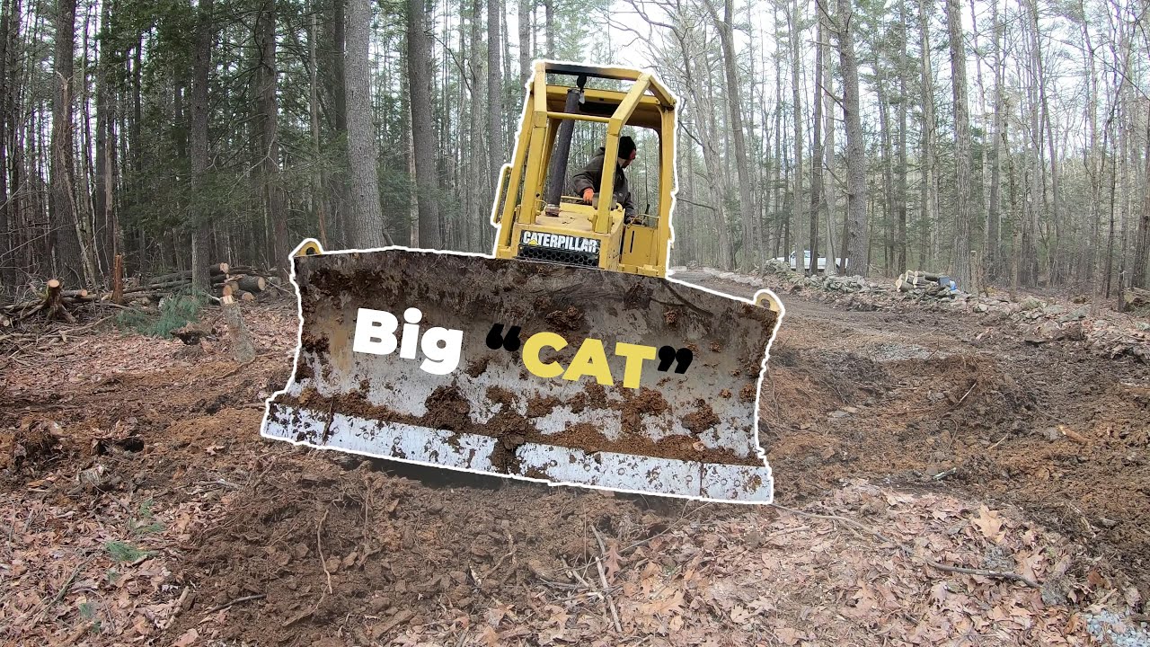 Big CAT Help Us to Expan The Road Throught Great Forest - YouTube