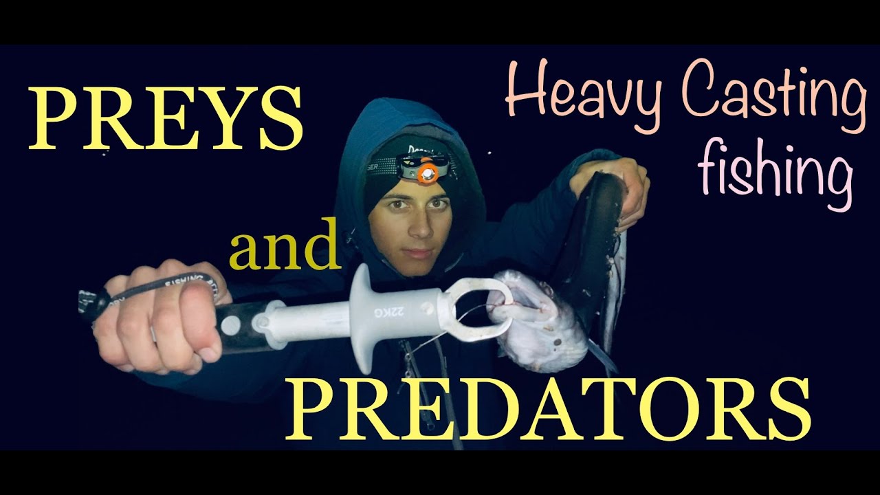 SURFCASTING: PREDATORI e PREDE in una FREDDA NOTTE INVERNALE - YouTube