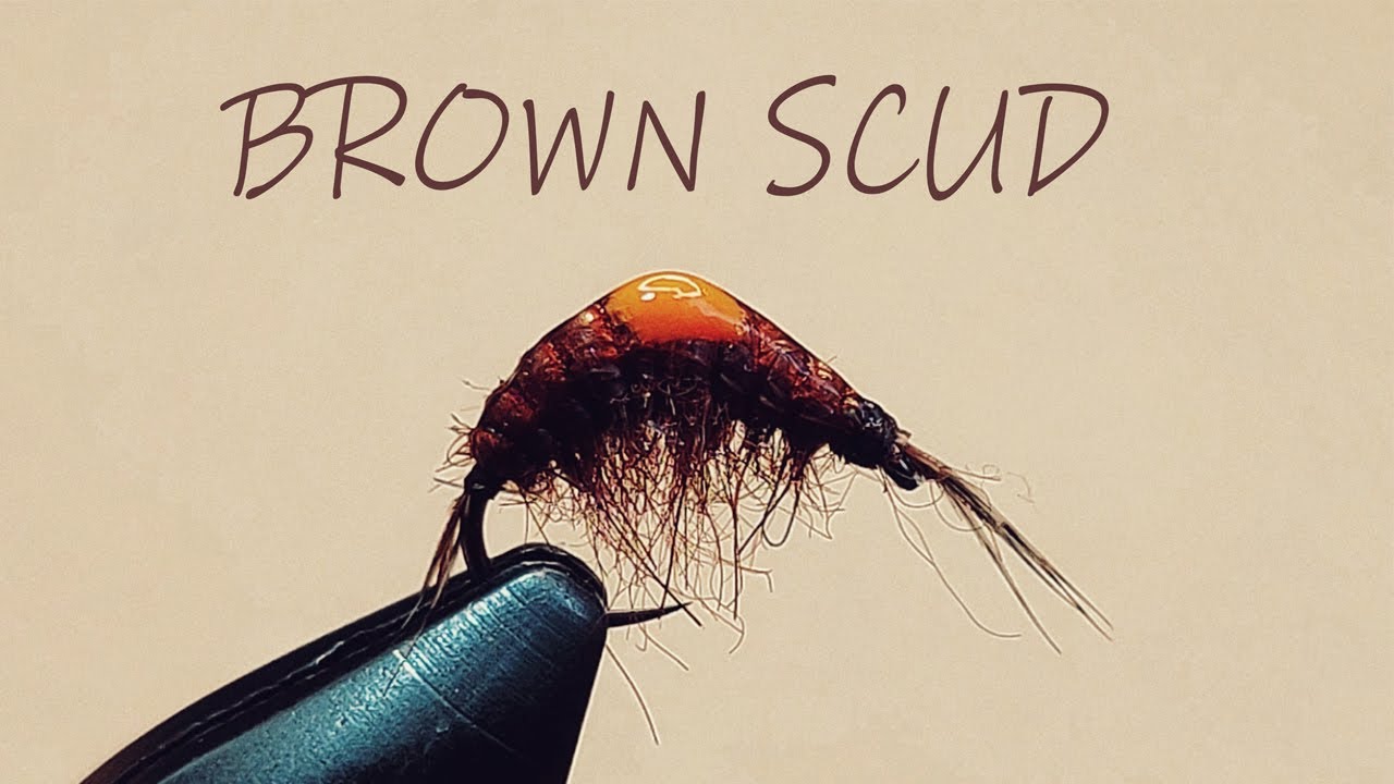 Fly tying: Brown Scud - YouTube