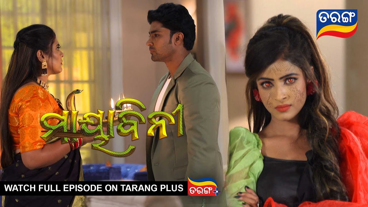 Mayabini | Ep 17 | 4th Nov 2022 | Best Scene | Odia Serial–TarangTV ...