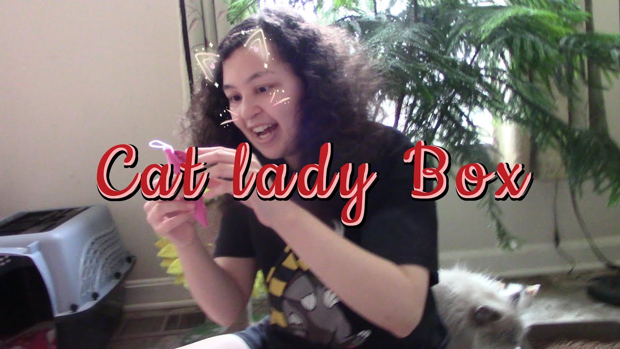 Cat Lady Box Unboxing The Purrfect Gift December 2022 😻🎄 - YouTube
