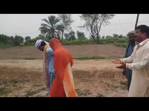 Dulhan ki aysi bidaai Aapne Kavi nh dekhi hogi#funny#
