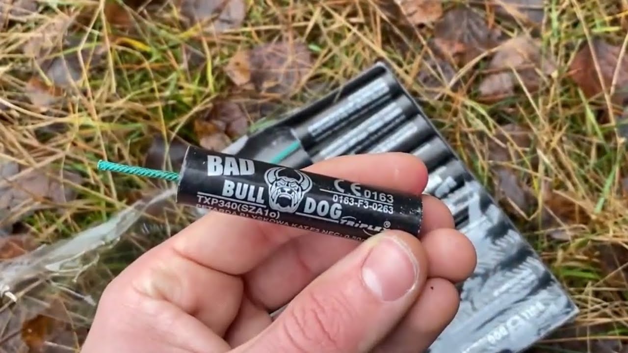 Test petard BAD BULL DOG od Triplexa TXP340 - YouTube