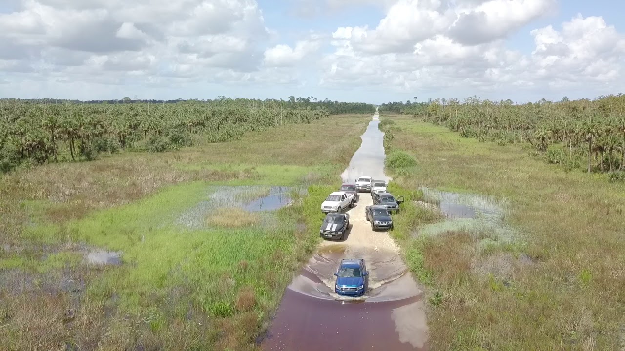 Picayune Strand - YouTube