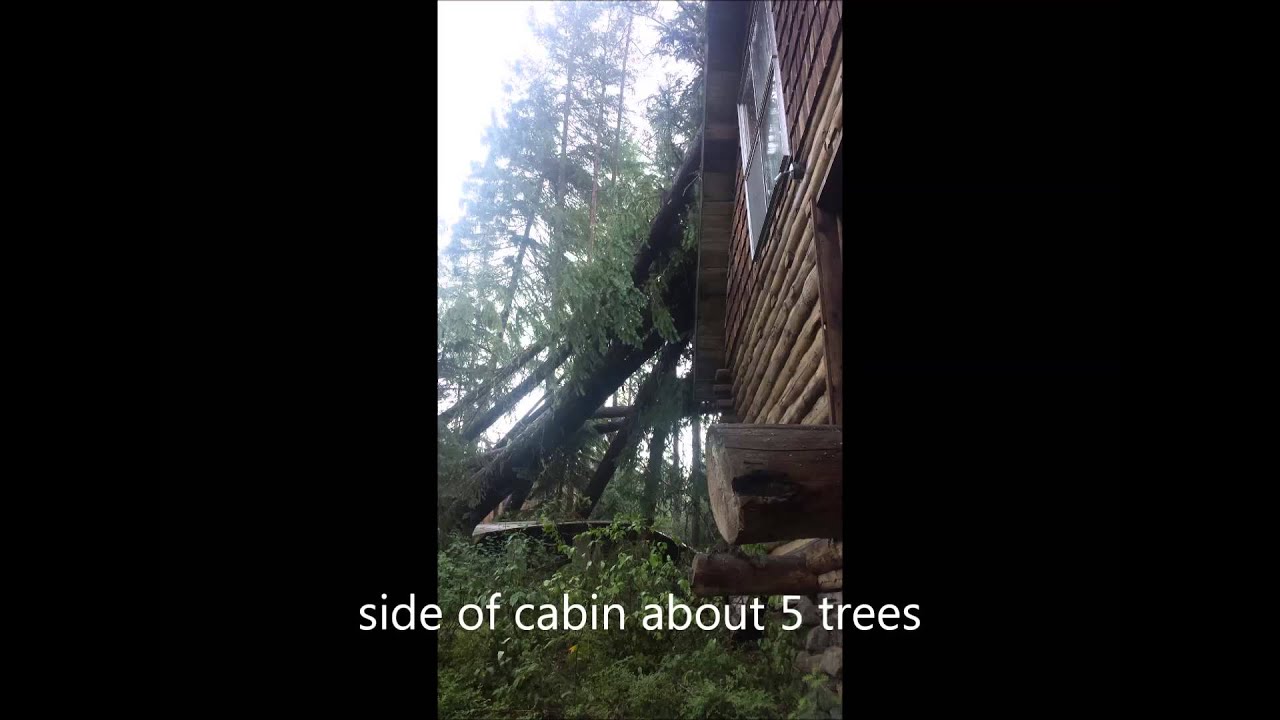 destruction of cabin 2015 - YouTube