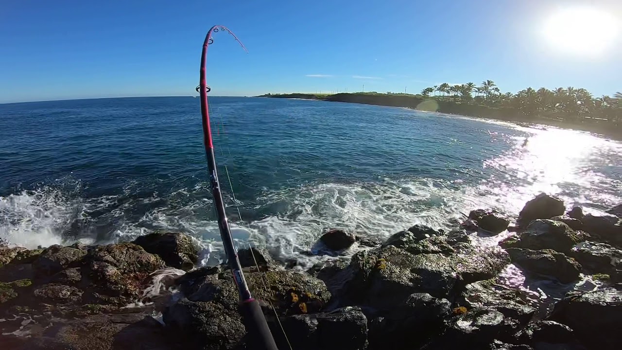 November 30, 2018 Whipping with “Hawaiian Angler Grub” - YouTube