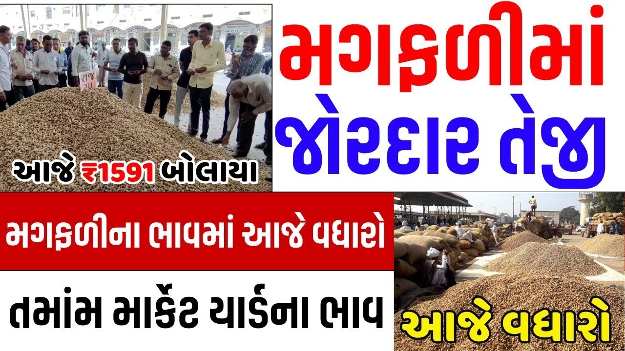 🔥મગફળીના ભાવમાં જોરદાર તેજી🔥| 10-11-2025 | magfali na bhav | આજના ...