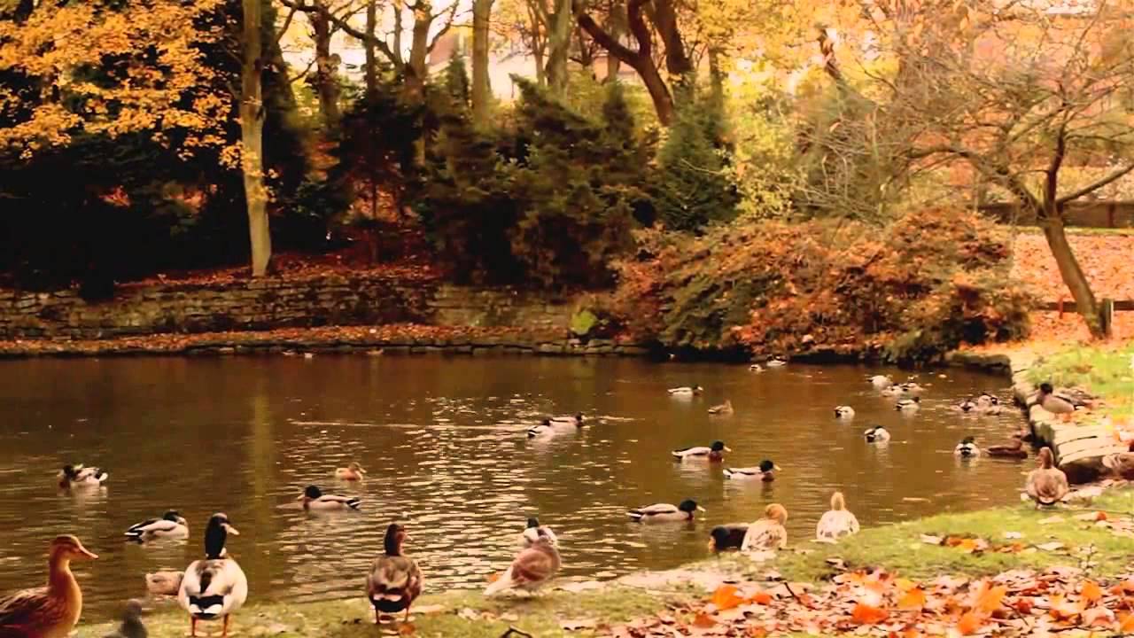 Notre vidéo du parc de Mouscron en automne ♥♥♥ - YouTube