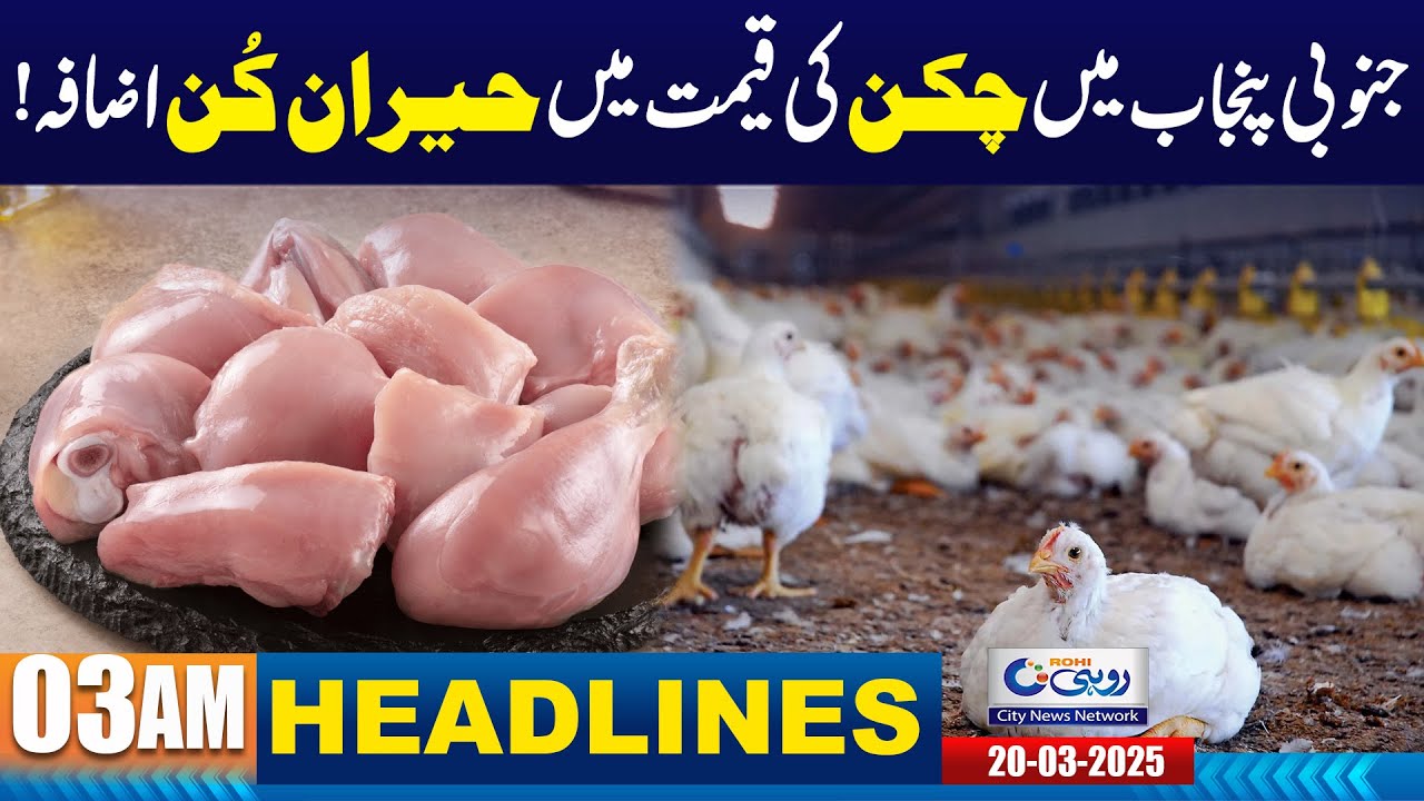 Chicken Price Hikes In South Punjab | 03AM News Headlines | 20 March 2025 | Rohi - YouTube