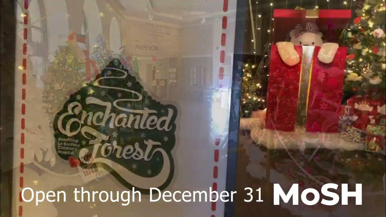 The Enchanted Forest Festival of Trees at MoSH benefitting Le Bonheur Children’s Hospital - YouTube
