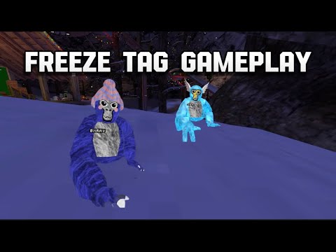 I played freeze tag in gtag… - YouTube