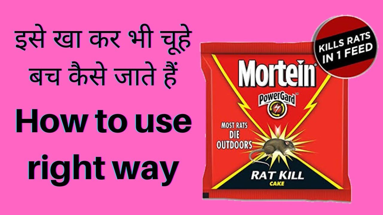 चूहों का दुश्मन नवम्बर 1 mortein power gard, mortein rat kill pest ...