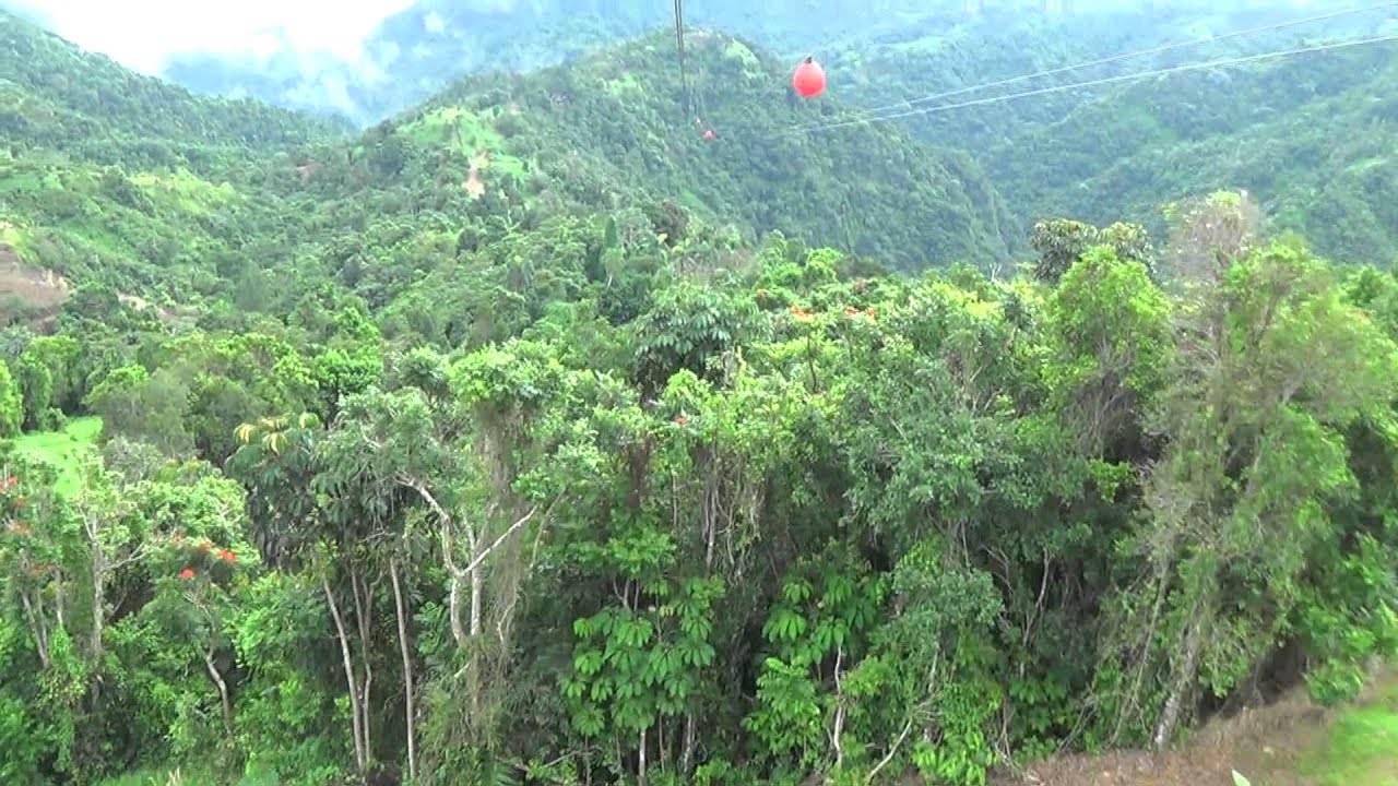 El padre sur la "Bestia" Zip line toro verde à Puerto Rico - YouTube