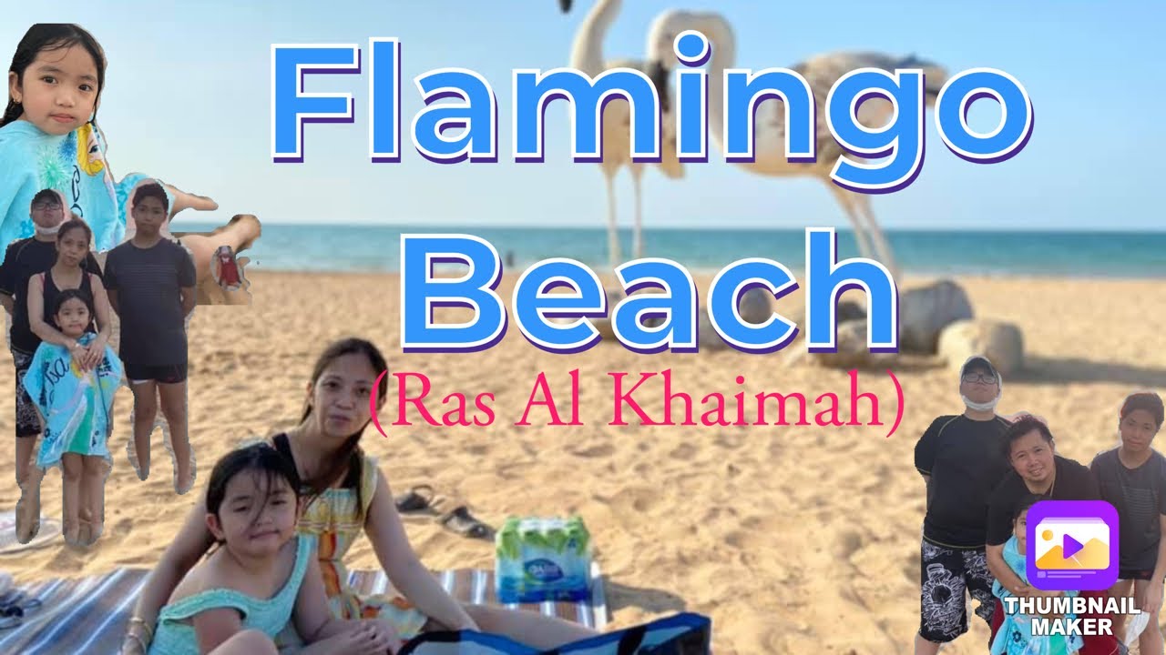 Flamingo Beach #Ras al khaimah open beach #Beach - YouTube