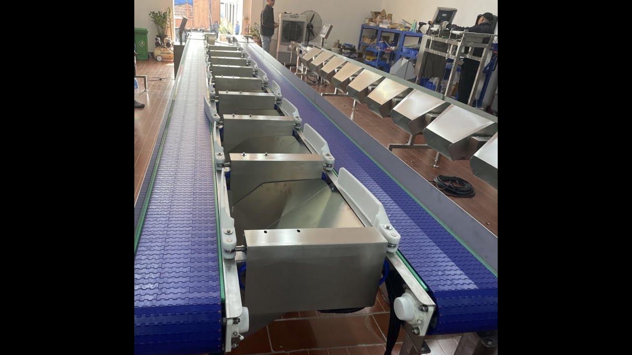 fish grading machine, testing fish grader, - YouTube