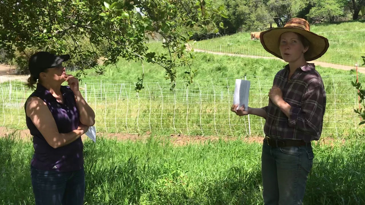 Free Hand Farm 5 of 7 - YouTube