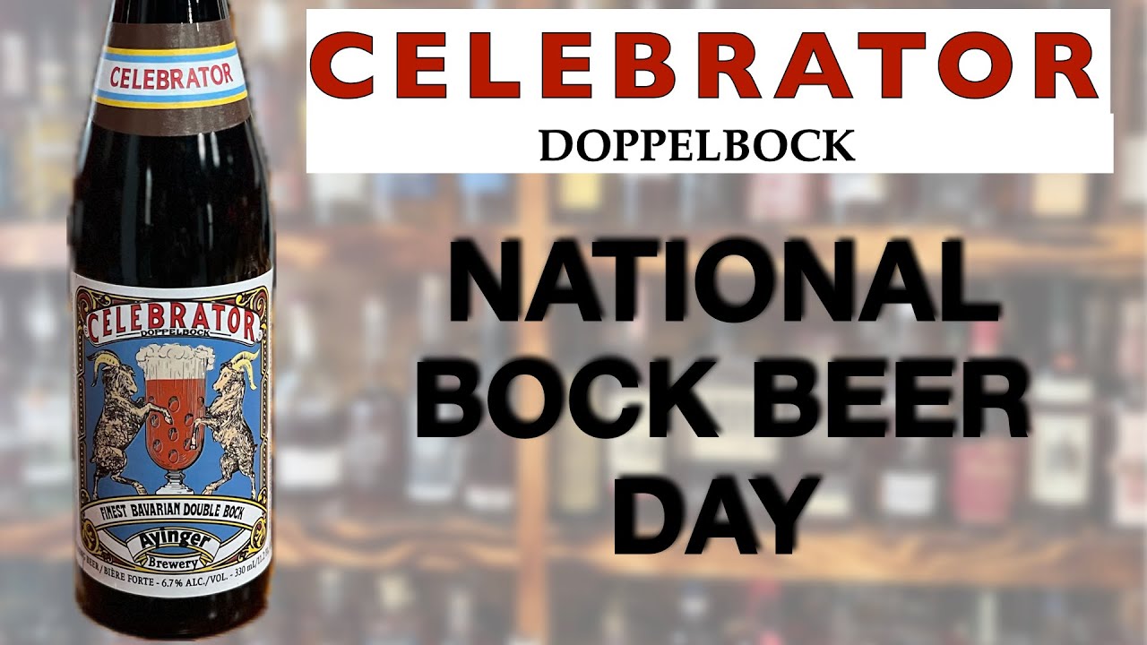 Tasting The Delicious Celebrator Dopplebock Beer - A Must Try! - YouTube