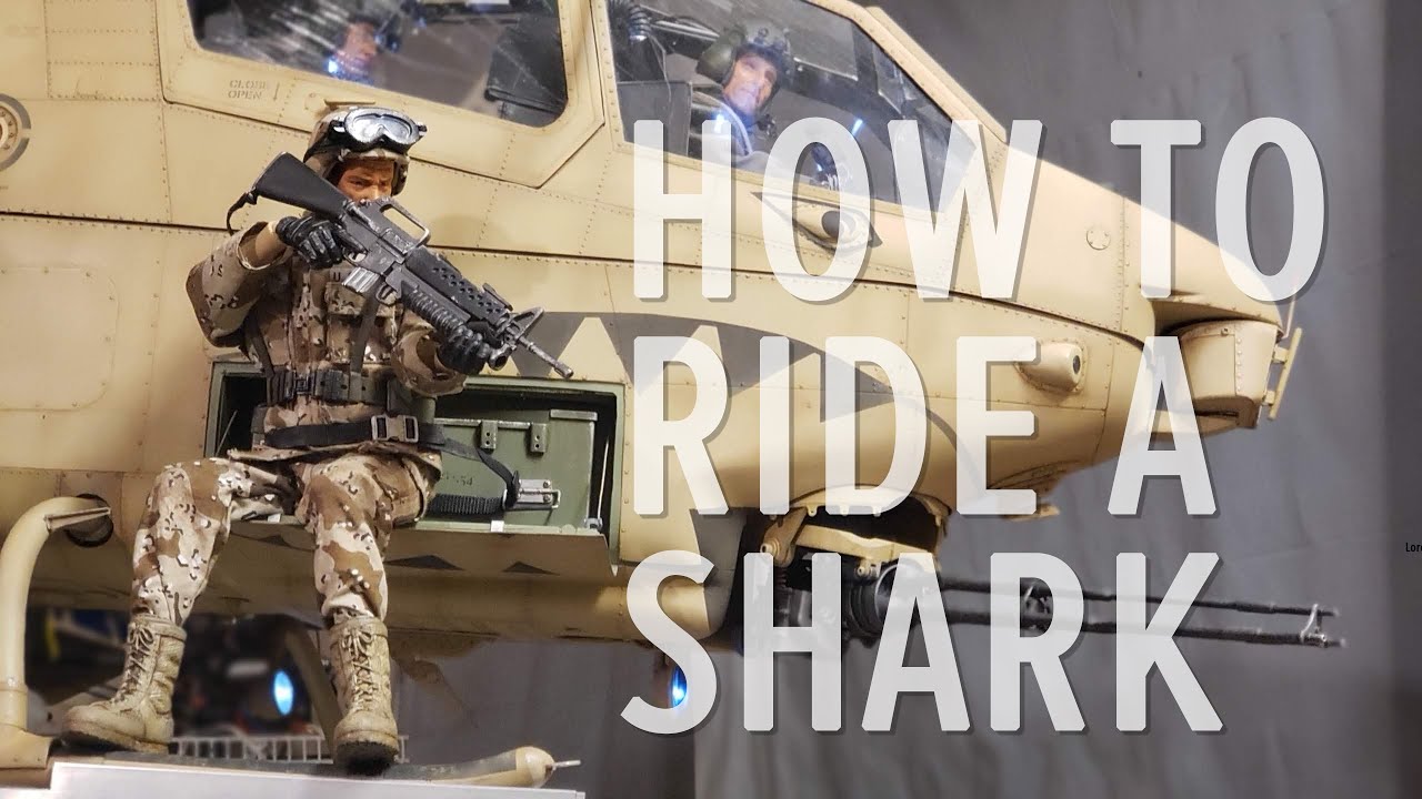 How to ride a shark - YouTube