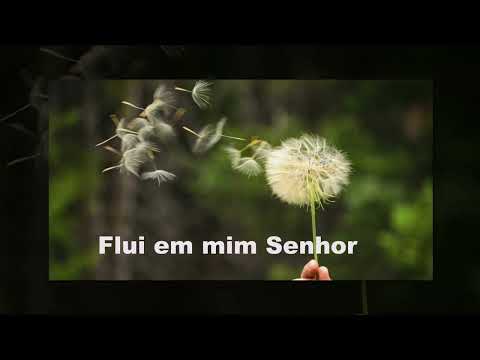 Elaine Beatriz - FLUI EM MIM  VOZ