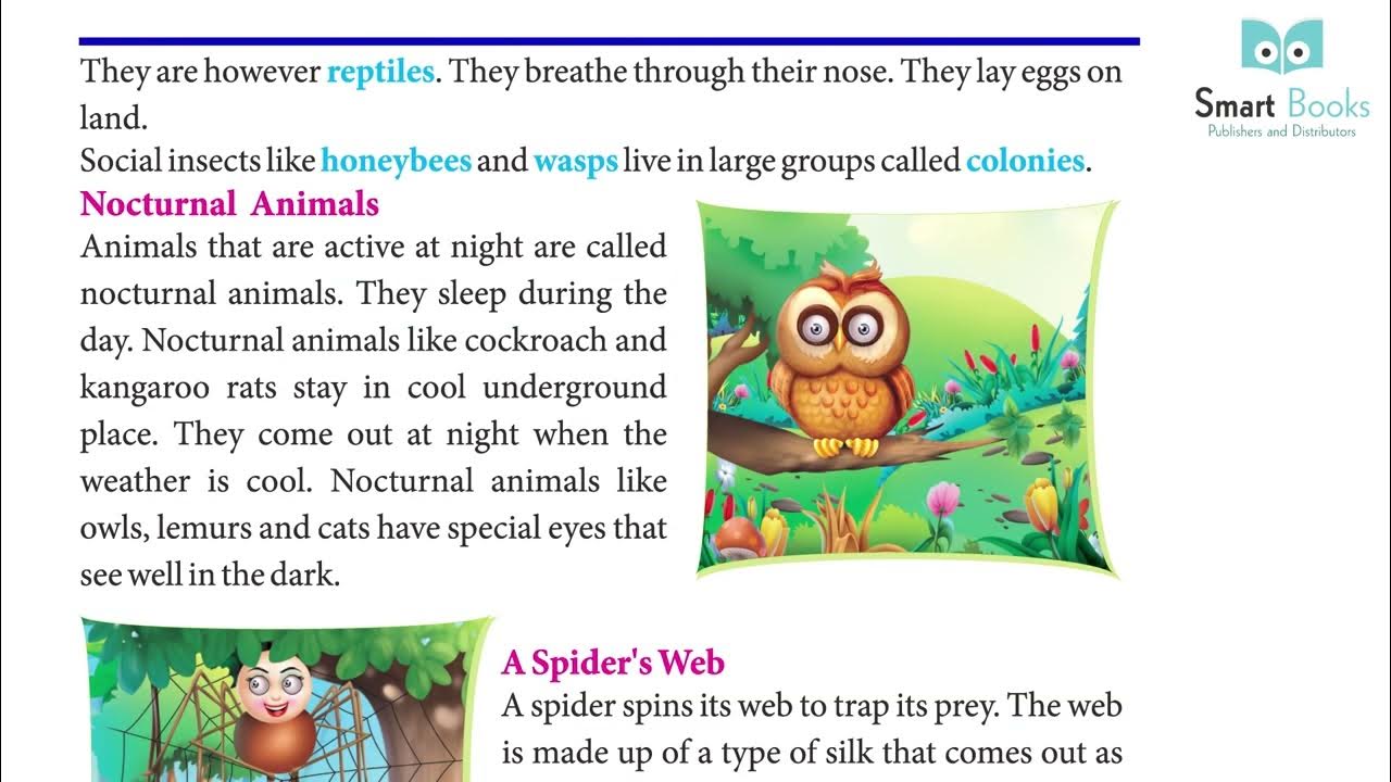 EVS Class 4 Chapter 5 Shelter | Smart Book Publisher - YouTube