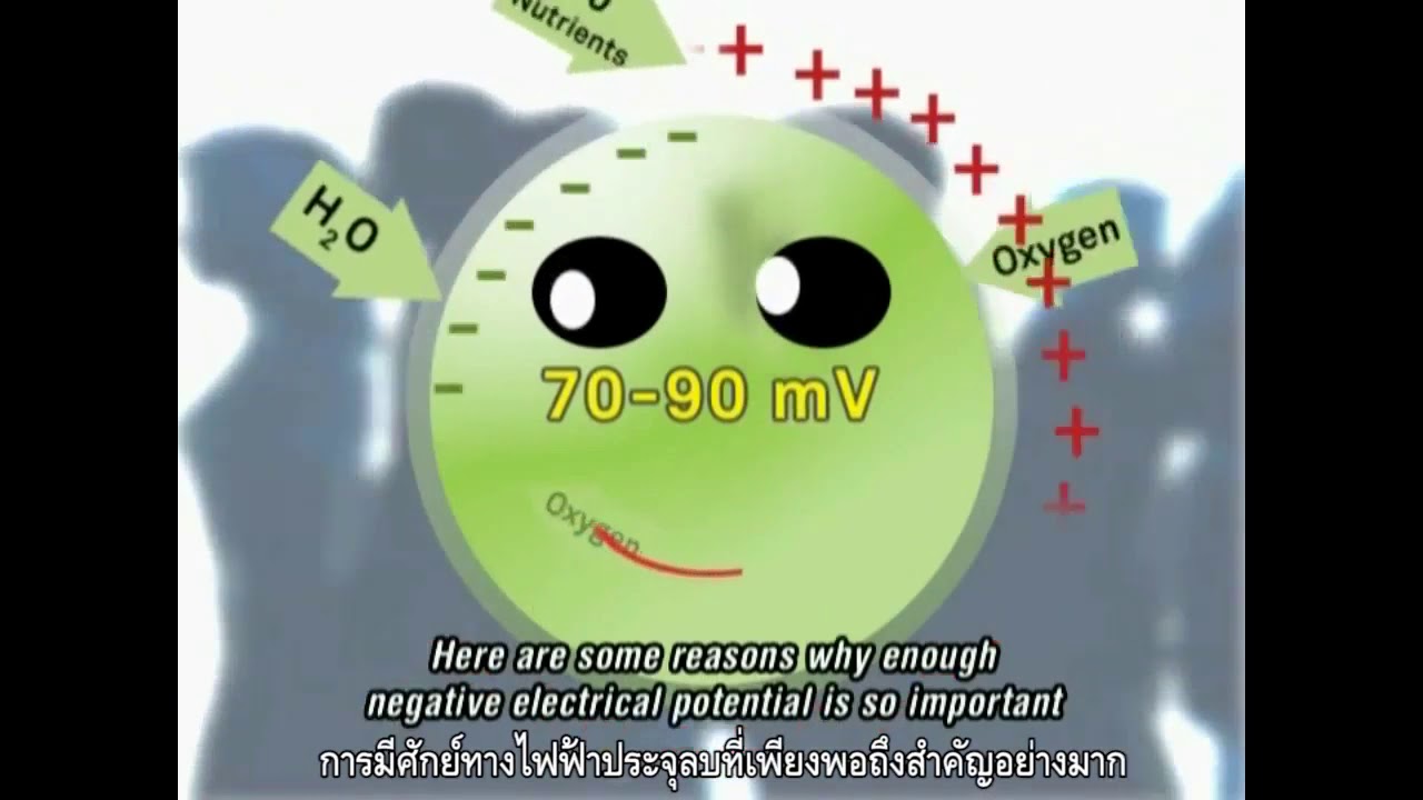E-Power Negative Potential and High Frequency Energy - YouTube