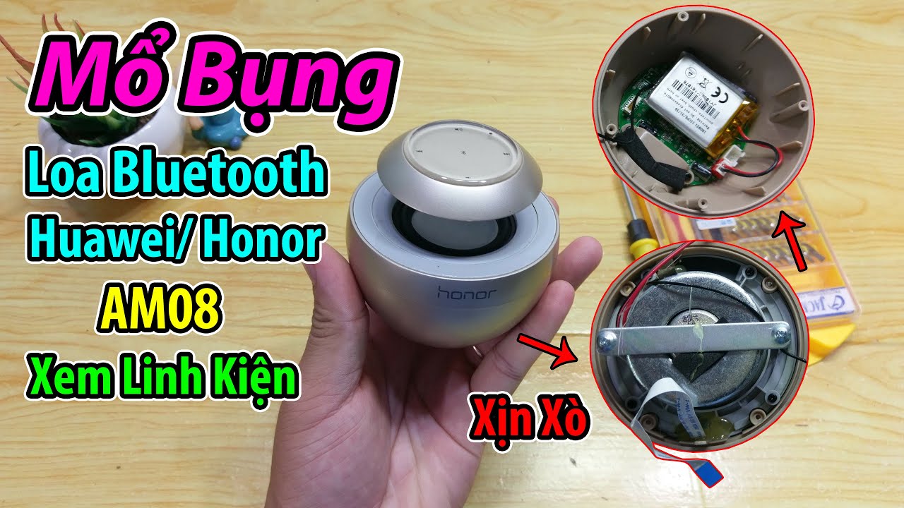 Bung Loa Bluetooth Huawei/ Honor AM08, nội thất xịn xò - YouTube