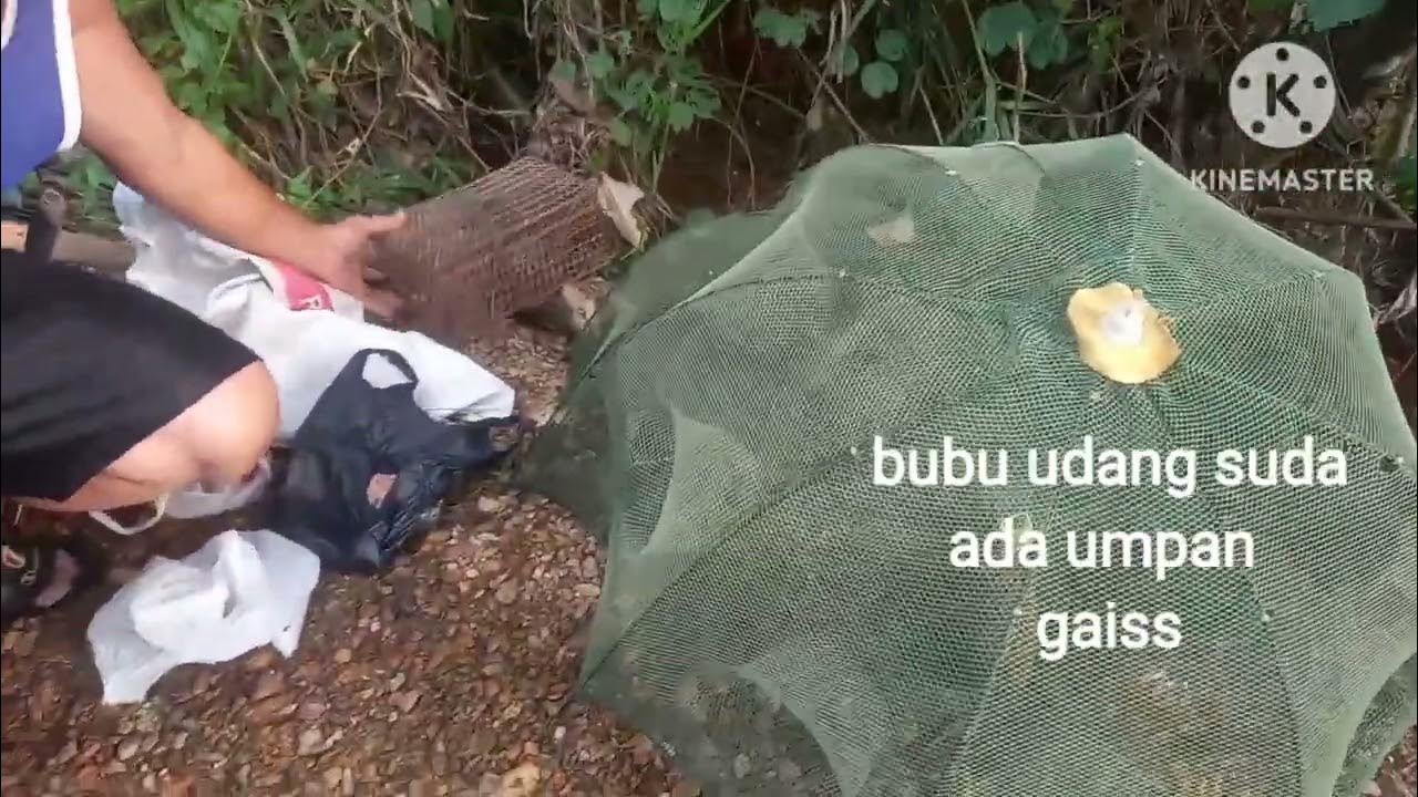 cara-cara untuk umpan bubu udang dan perangkap labi2 (video-1) - YouTube