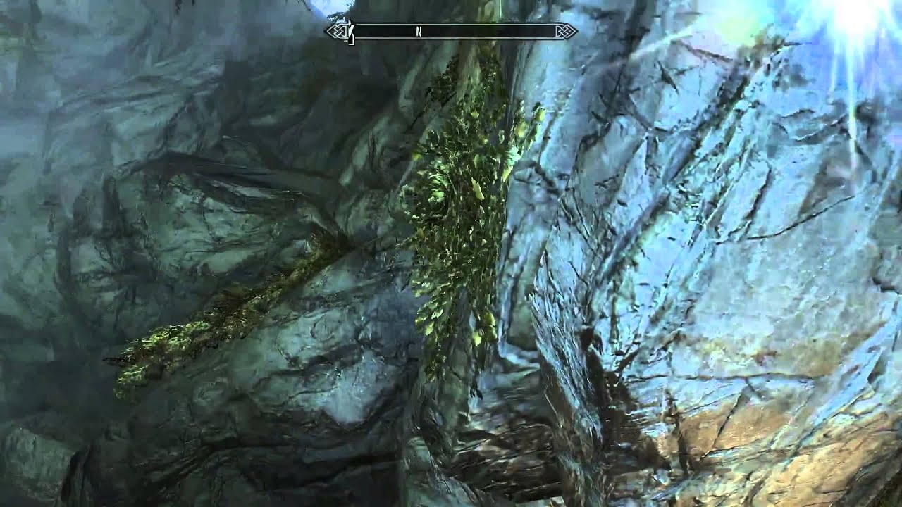 How to get Hanging Moss - Skyrim - YouTube