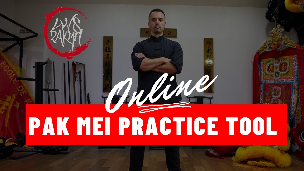 Online Pak Mei Practice Tool - YouTube