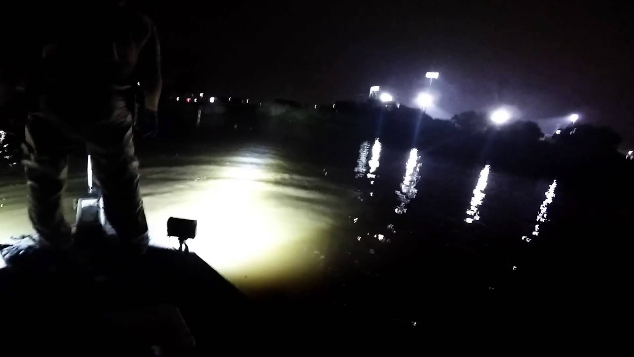 Bowfishing Buffalo Night shot - YouTube