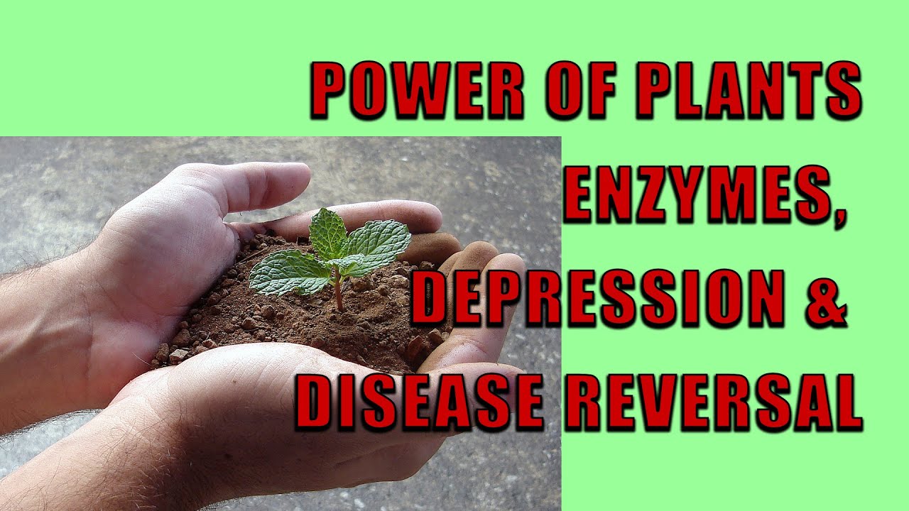Power Of Plants; Enzymes, Depression & Disease Reversal - YouTube